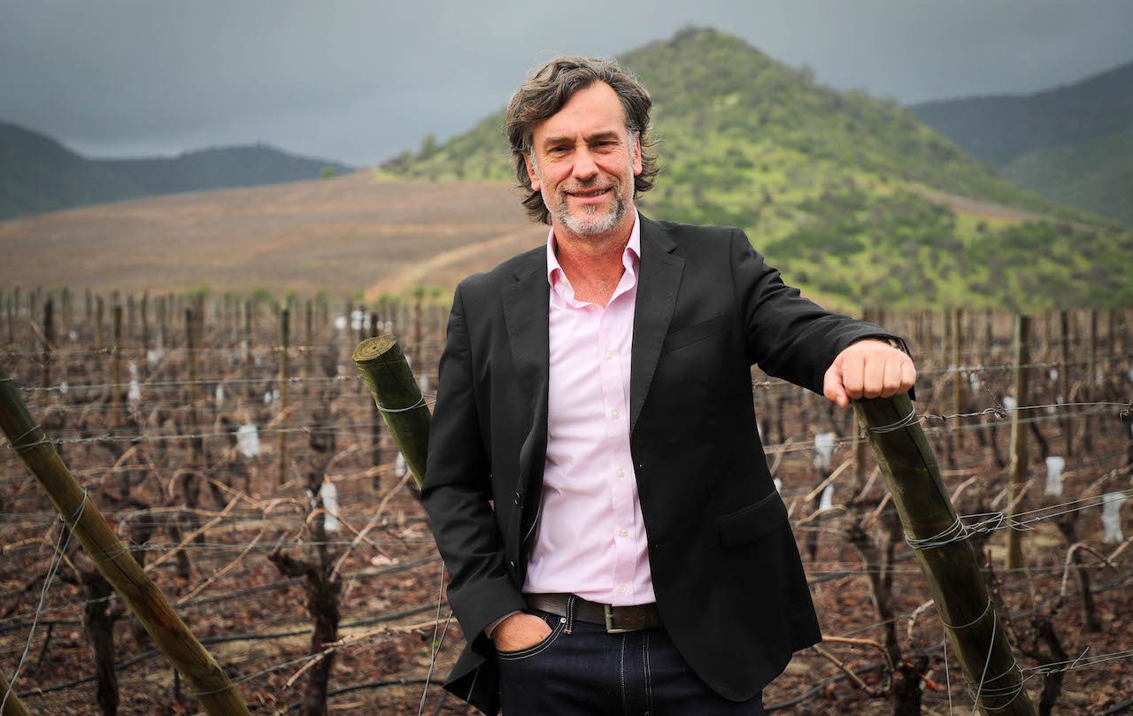 Un paseo por la Viña Vik: la obsesión con el terroir y con producir los mejores vinos del mundo ...