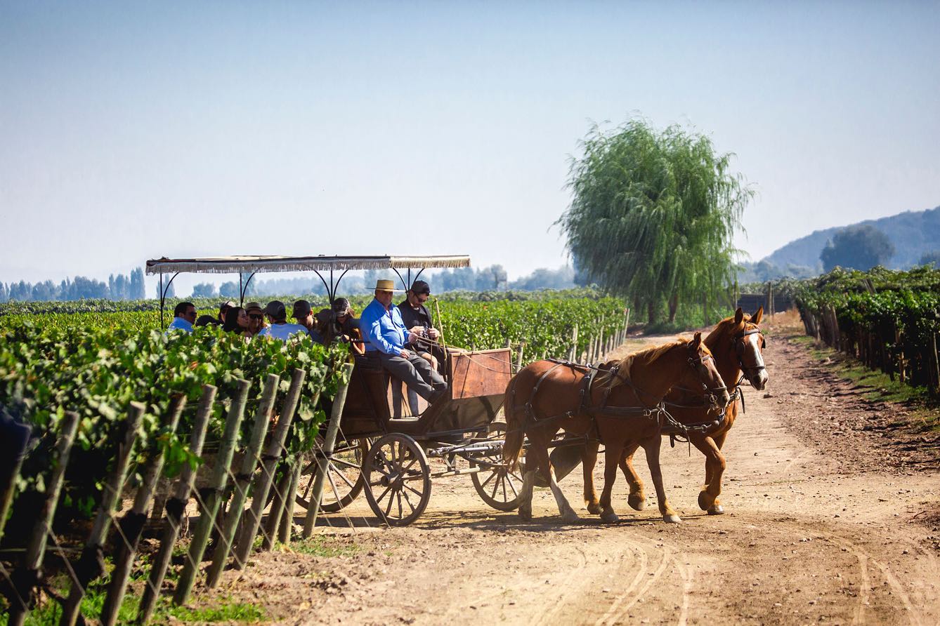 ¿Cuáles son las siete viñas chilenas entre las mejores del mundo ...